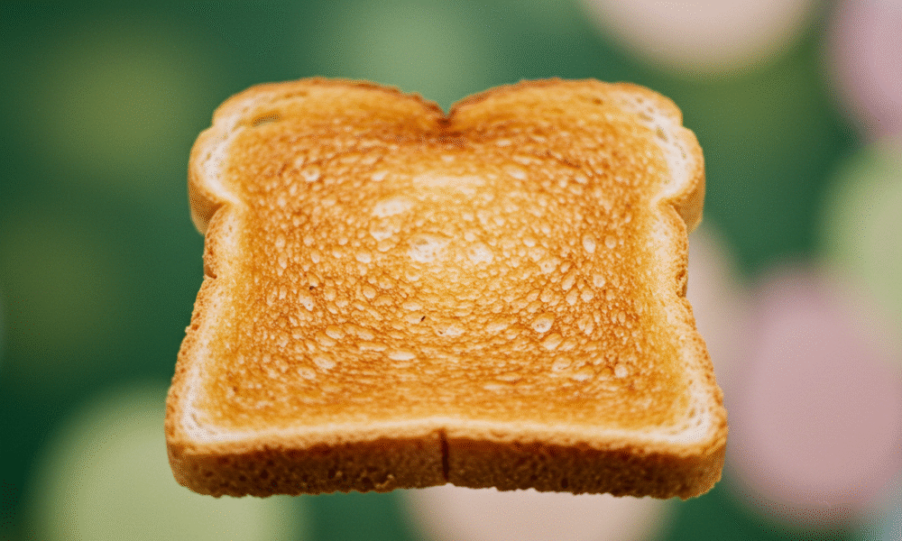 Toastul: The Perfect Canvas for Your Culinary Creations